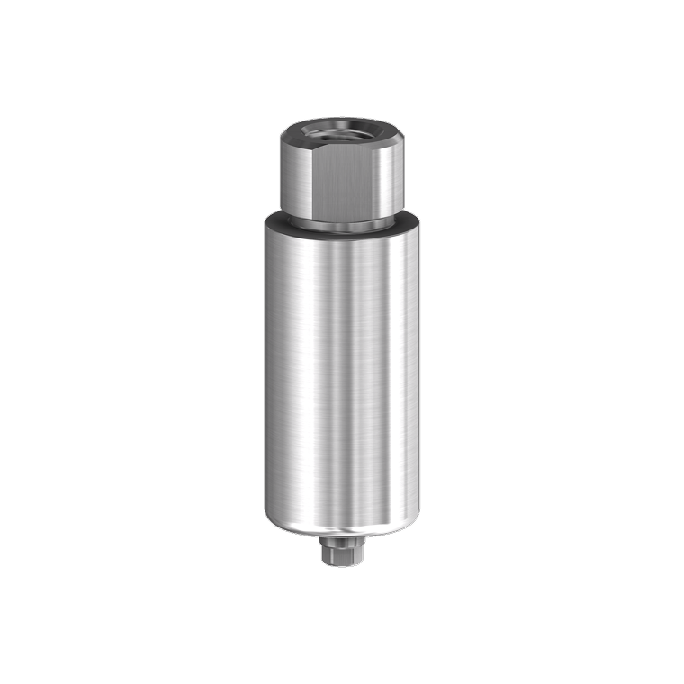 Straumann BL Premilled Abutment Blank – Elegant Direct